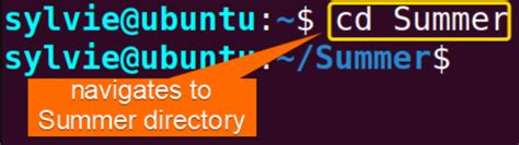 Remove All Files From Current Directory In Linux Methods