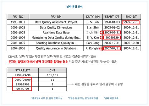 Pp Data Profiling데이터 프로파일링
