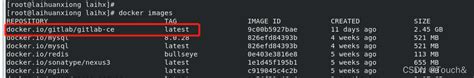Docker 搭建 Gitlab 服务器 完整详细版docker Gitlab Csdn博客