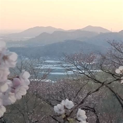 春の夕暮れ 絶景事典