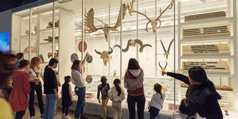 Hooved Mammals Headgear Has One Evolutionary Origin Amnh Sean Decatur