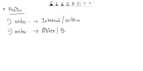 Solved The Prefix Brachi Means Arm The Prefix Trans Means Across Or Through The