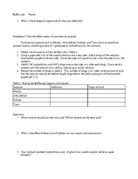 Buffer Lab English Version By 184EDU Teachers Pay Teachers