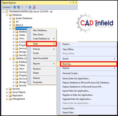 SOLIDWORKS PDM Backup Cad Infield SOlidWorks PDM Backup