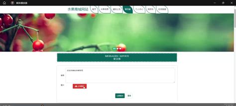 ssm php node python水果商城网站 csdn博客