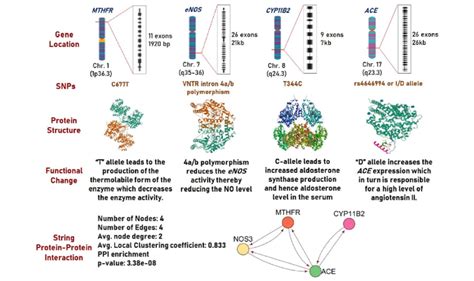 Candidate Genes Infographics Download Scientific Diagram