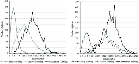 Number Of Plants At Each Tiller Number In The Training Data Set A