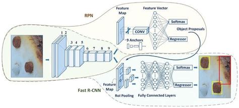 Faster R CNN Architecture 6 Download Scientific Diagram