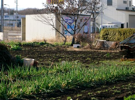 Bizarre Japanese Vending Machine Gallery Sankaku Complex