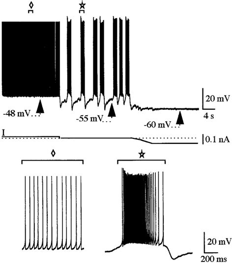 Switch Of Firing Mode According To Membrane Potential Pure Burst Mode