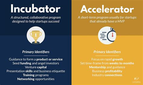 Incubator Vs Accelerator Whats The Difference