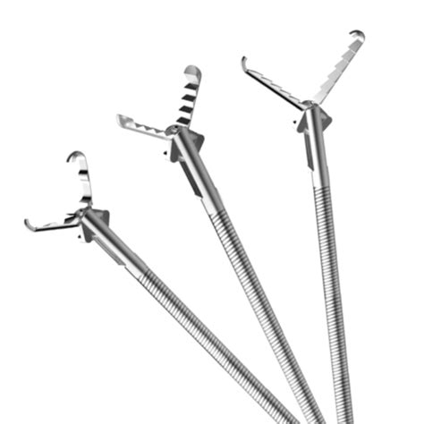 Endoscopic Instruments Morulaa Healthtech P Ltd