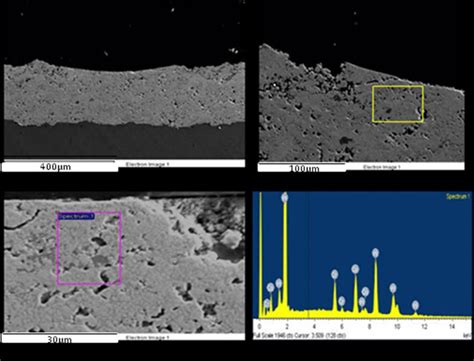 Sem Cross Section Of Micrographs Of The Wc Cocr Composite Coating A Download Scientific