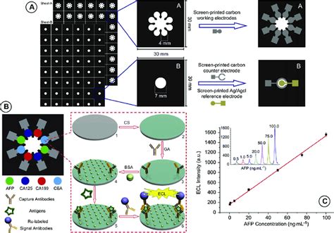 A The Schematic Representation Of Process To Fabricate 3d Paper Based Download Scientific