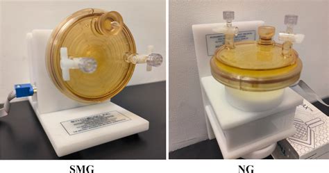 Effects Of Short Term Exposure To Simulated Microgravity On The