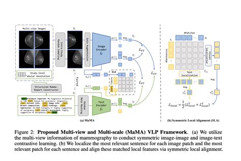 multi view and multi scale alignment mama advancing mammography with