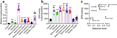 Characterization Of Selenium Compounds For Anti Ferroptotic Activity In Neuronal Cells And After