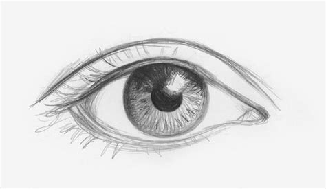 How To Draw Realistic Human Eyes 7 Steps With Pictures