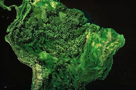 Picture Aipowered Algorithms Mapping Vegetation Co Generative Ai Premium Ai Generated Image