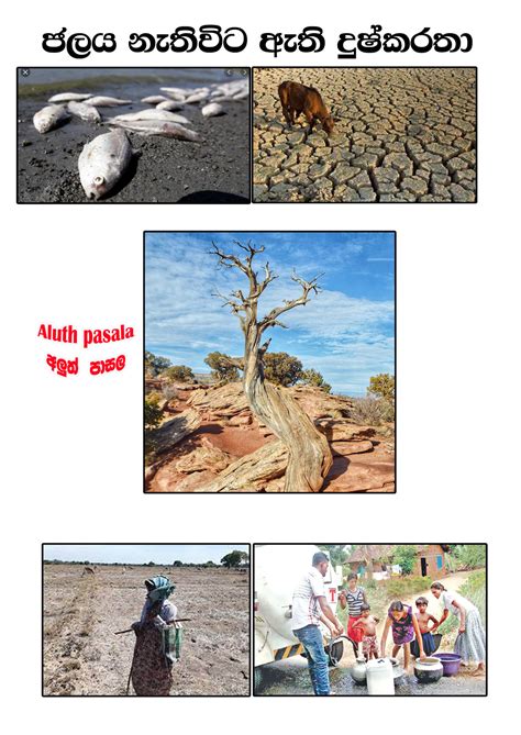 1 2 ශ්‍රේණි පරිසරය අලුත් පාසල Aluth Pasala Facebook