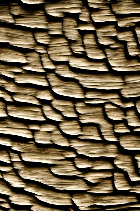 Texture Random Natural Abstract Objects Random Colors Light And Shadow Creative Fabrica