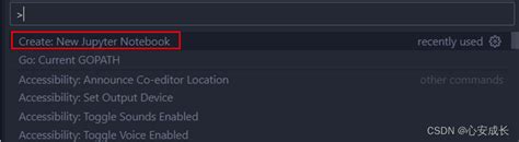 如何使用vscode上运行jupyter，详细案例过程出可视化图vscode Jupyter Csdn博客