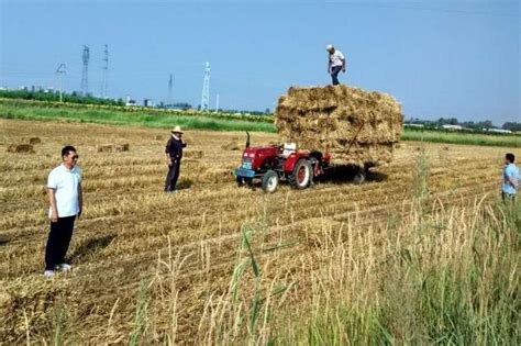 内幕五原秸秆直接粉碎还田利用率97。国外经验行业监管资讯中国秸秆网