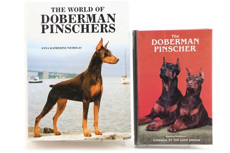 Doberman Pinscher Reference Books And Sandicast Resin Figurines Ebth