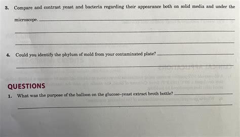En Date Lab Section Name LABORATORY REPORT Fungi Chegg Com