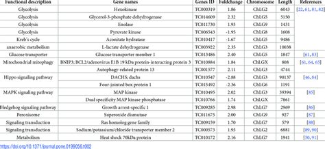 Some Hypoxia Response Degs In The Rna Seq Download Table