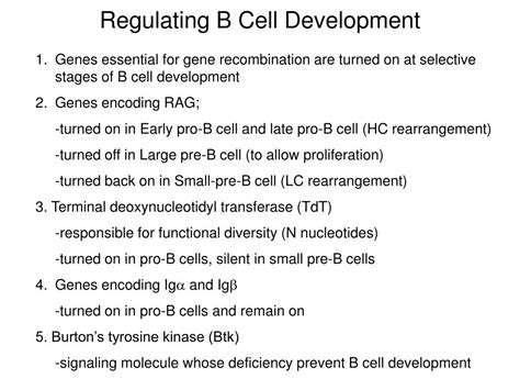 Ppt B Cell Development Powerpoint Presentation Free Download Id 6530494