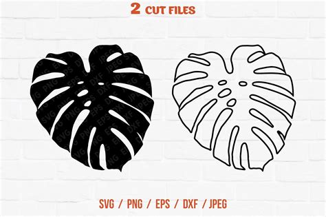 Monstera Leaf Svg Graphic By Vitaminsvg · Creative Fabrica