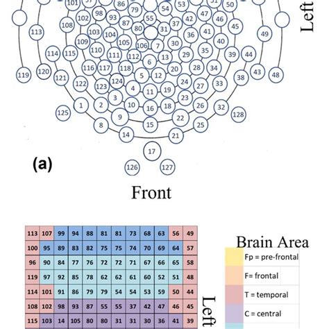 Illustration Of Electrode Arrangements A Displays The Eeg Electrodes Download Scientific