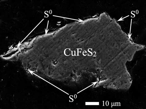 Sem Eds Image Of The Solid Residue Obtained From Atmospheric Sulfuric Download Scientific