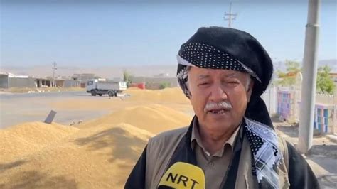 جوتیارانی شاری کۆیە لەسەر شەقام بەرهەمی گەنمی ئەمساڵیان دەفرۆشن