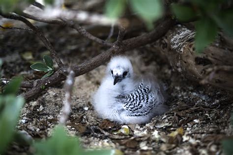 Coral Sea Clean Up Reveals The True Extent Of Plastic Pollution 1 Million Women