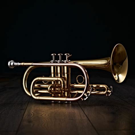 Brass Instruments What Are They Gear4music