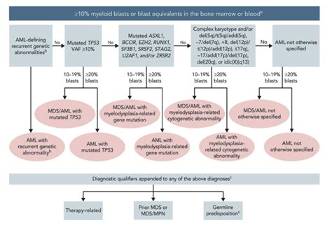 Acute Myeloid Leukaemia Diagnosis And Management Medical Independent