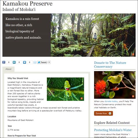 Pepeopae Trail And Pelekunu Overlook East Molokai ‹ Aloha From 808
