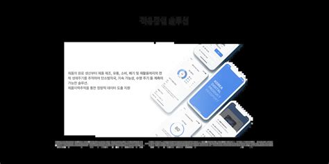 분산스토리지와 블록체인 영지식 증명을 결합한 미들웨어 시스템 Bims 블록체인·nft 포트폴리오 크몽