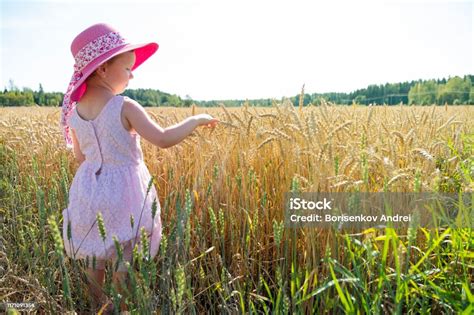 분홍색 챙이 넓은 모자를 쓴 소녀 한 소녀가 노란 밀 귀를 가진 들판에 서 있었다 농촌 풍경 4 5세에 대한 스톡 사진 및 기타 이미지 Istock