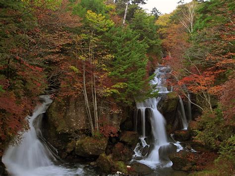 紅葉の竜頭ノ滝 アットロードサイド