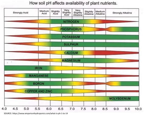 Having Problems With Plants Check Your Soil PH First Memphis Area Master Gardeners