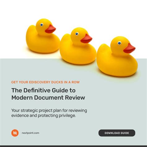 Navigating The Complex Process Of Ediscovery Document Review Requires