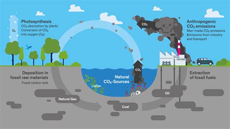 Where Does Carbon Cycle Come From