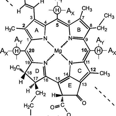 Molecular Structure Of Chl A With Numbering Scheme Orientation Of The Download Scientific