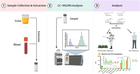 Novel Lc Msms Method For Simultaneous Determination Of Monoamine Neurotransmitters And