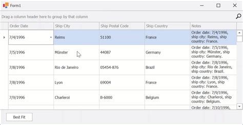 Gridviewbestfitcolumns Method Winforms Controls Devexpress Documentation
