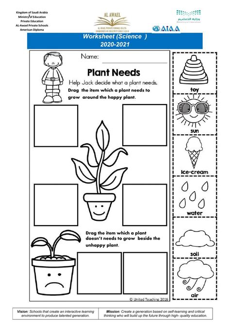 Parts Of A Plant Worksheet 2nd Grade The Parts Of The Plant We Eat