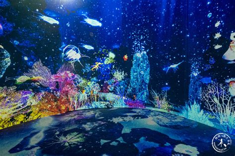台北展覽 NAKED OCEAN IN TAIPEI 光之影海洋展 沉浸式海底探險 一窺神秘深海世界 展期 門票 周邊商品 桃桃 s旅人手札